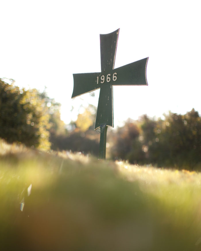 Arla Coldin – COLDINU ORDEN Amicitia et Humanitas