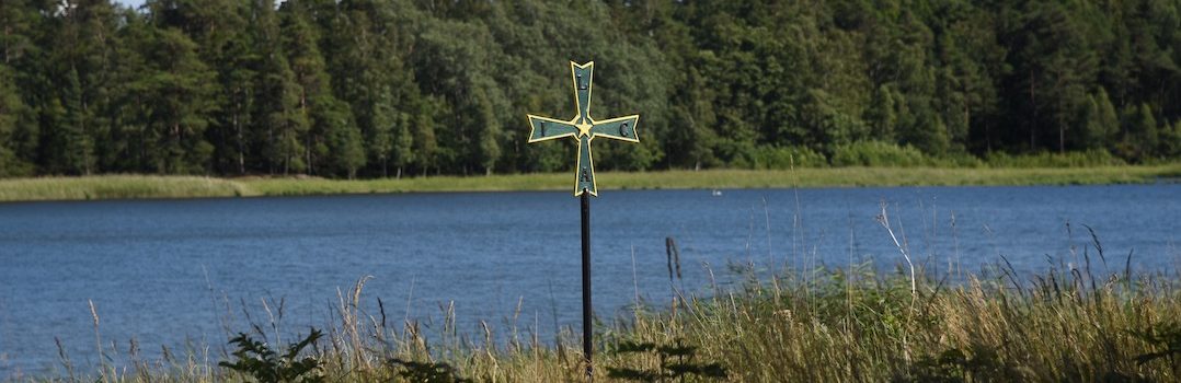 Om Göta Coldin – Göta Coldin